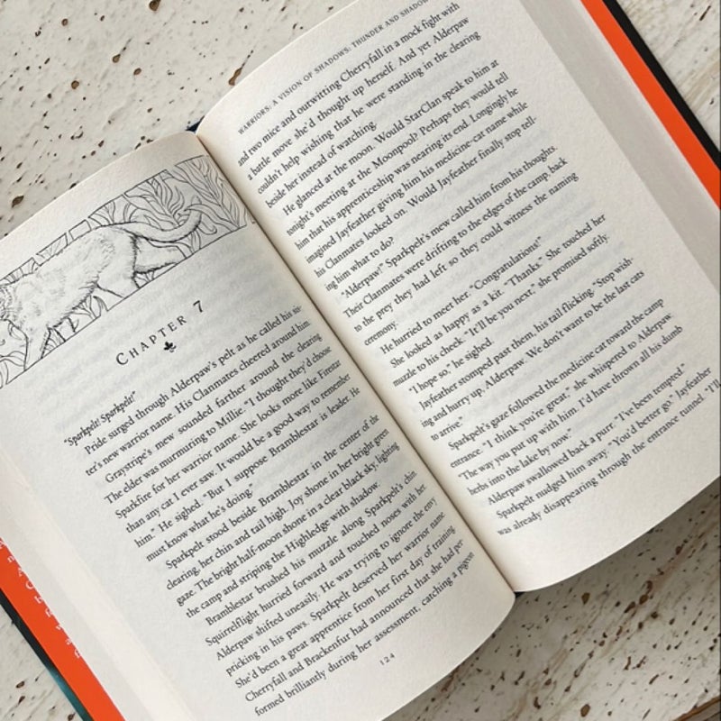 Warriors: a Vision of Shadows #2: Thunder and Shadow by Erin Hunter