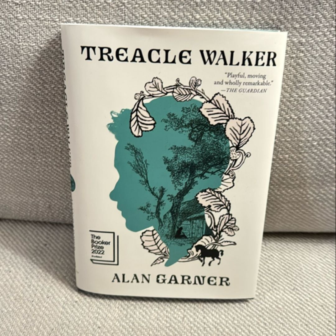 Treacle Walker by Alan Garner