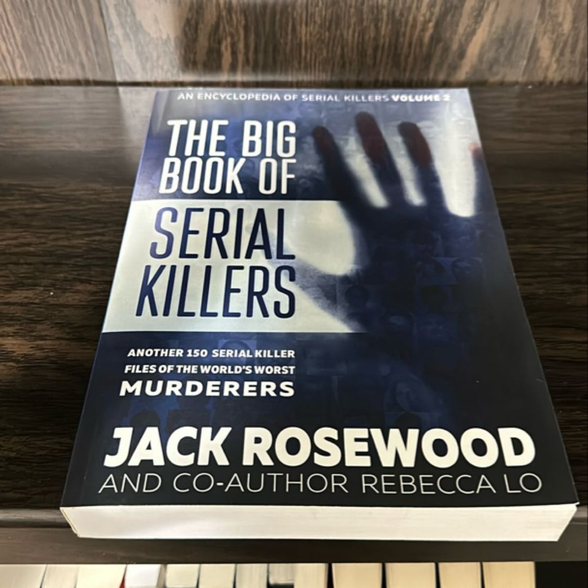The Big Book of Serial Killers Volume 2 by Rebecca Lo, Jack Rosewood
