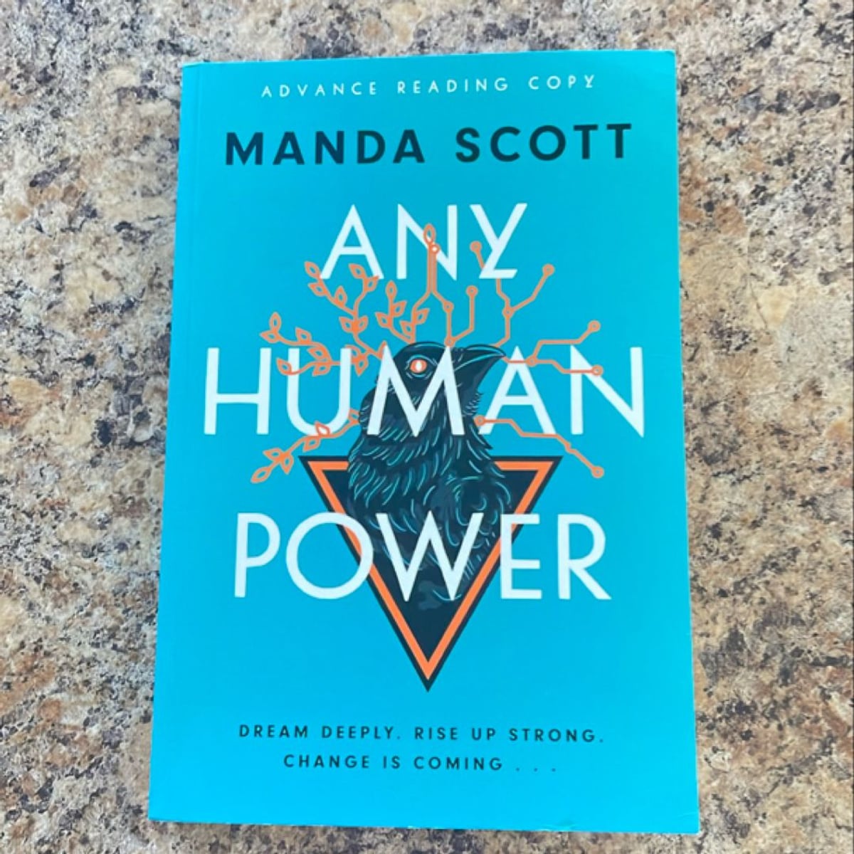Any Human Power by Manda Scott, Paperback | Pangobooks