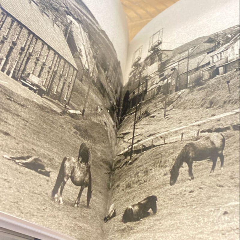 Colin Jones; Grafters by Mark Haworth-Booth, Colin Jones