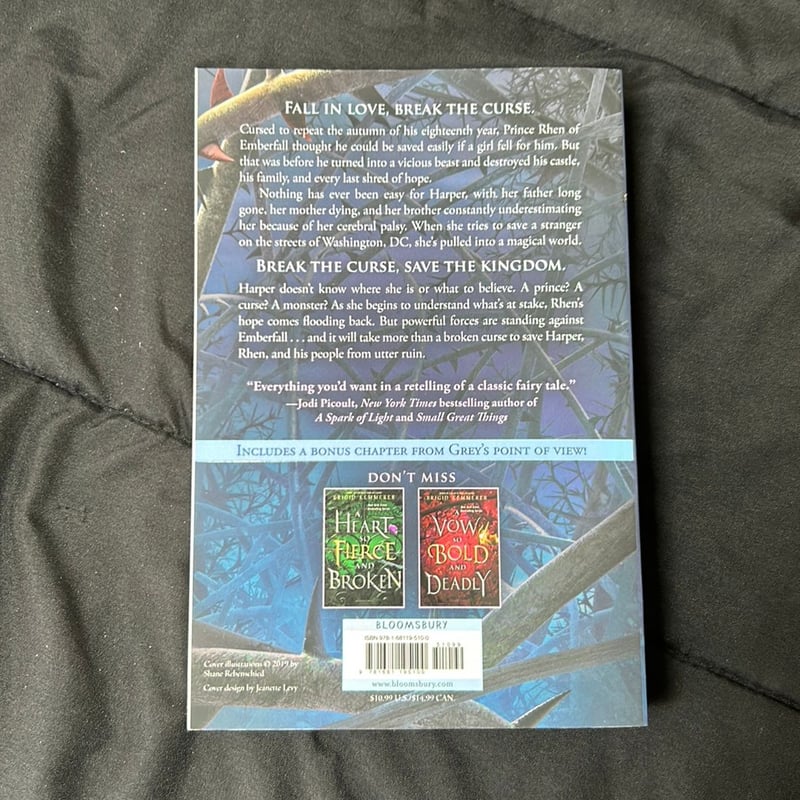A Curse So Dark and Lonely by Brigid Kemmerer, Paperback | Pangobooks