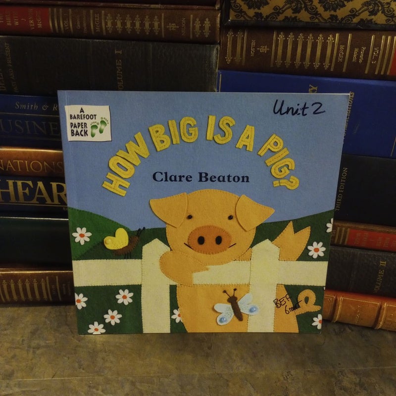 How Big Is a Pig? by Stella Blackstone, Paperback | Pangobooks