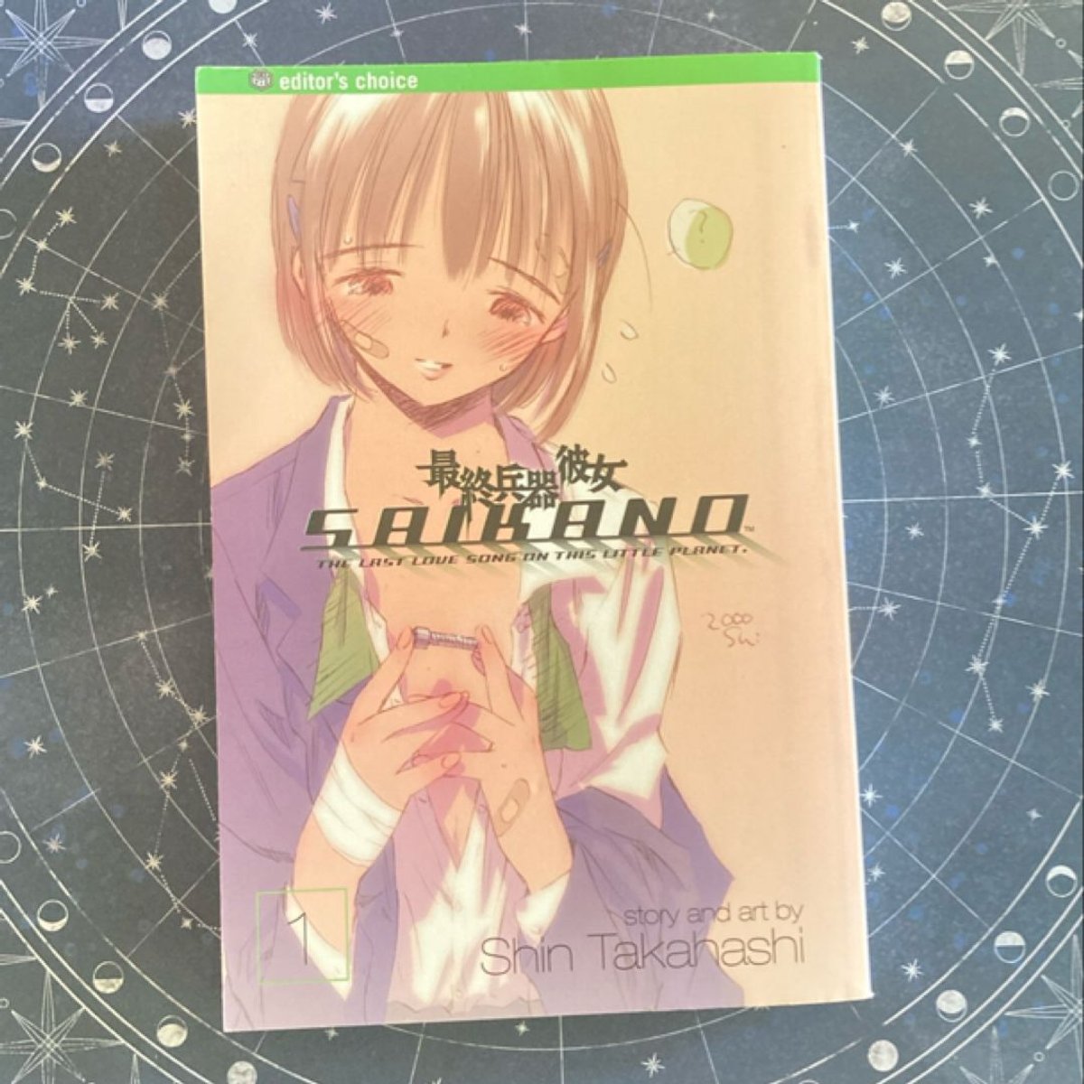 Saikano, Vol. 1 by Shin Takahashi