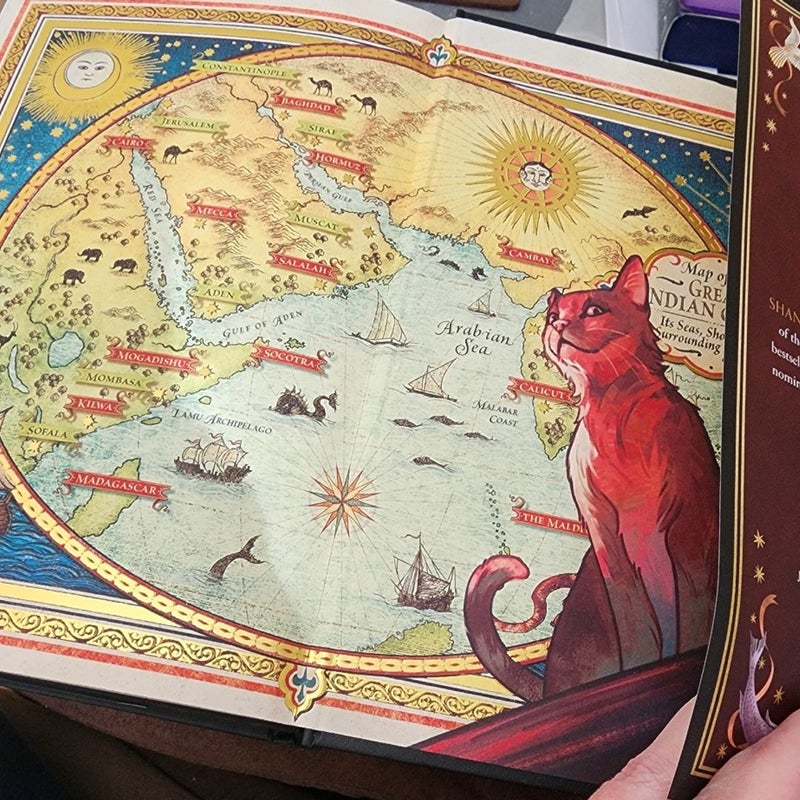 The Adventures of Amina al-Sirafi - fairyloot edition by Shannon ...