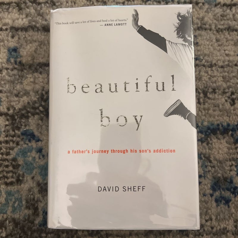Beautiful Boy by David Sheff, Hardcover | Pangobooks
