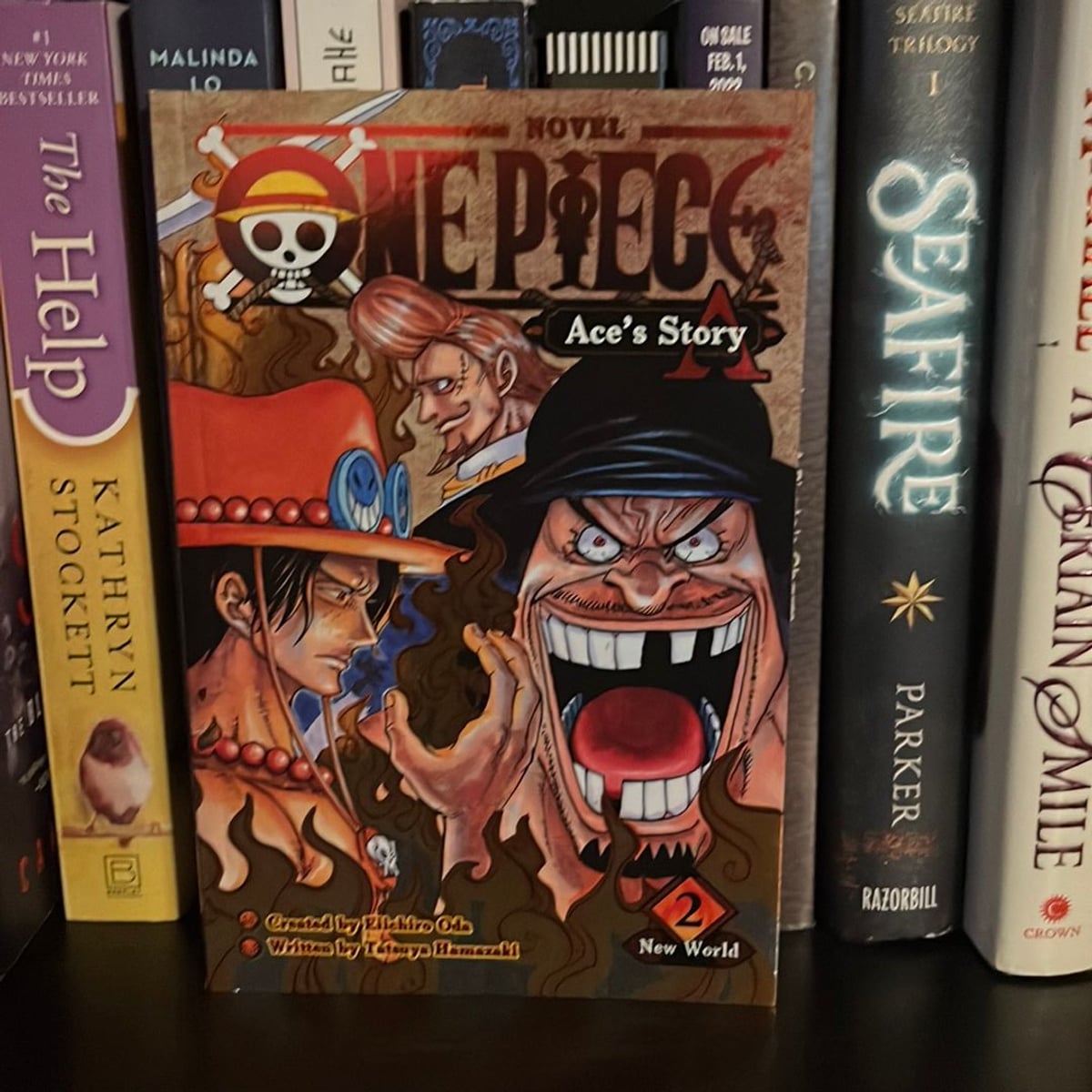One Piece: Ace's Story, Vol. 2 by Eiichiro Oda, Sho Hinata, Stephen Paul