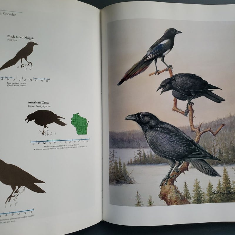 Birds of Wisconsin by Owen J. Gromme, Samuel D. Robbins