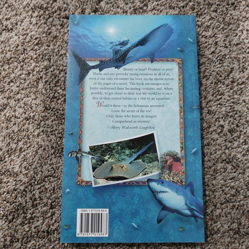 Sharks and Rays by undefined