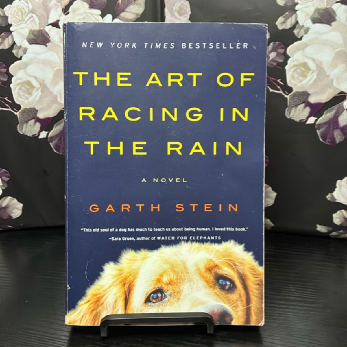 The Art of Racing in the Rain by Garth Stein, Paperback | Pangobooks