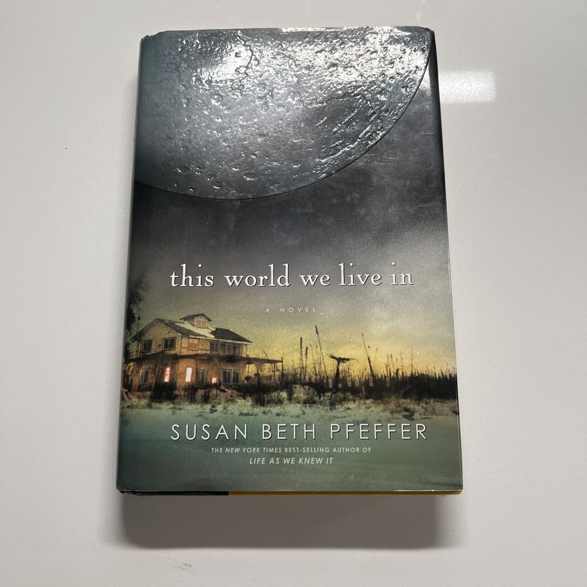 This World We Live In by Susan Beth Pfeffer, Hardcover | Pangobooks