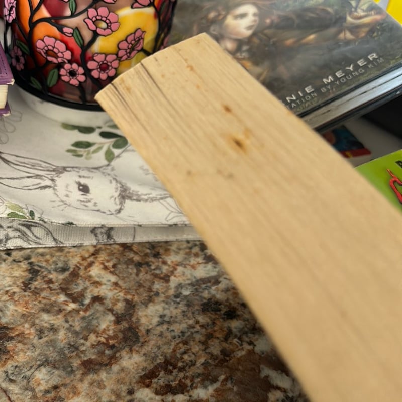 Clockwork Angel by Cassandra Clare