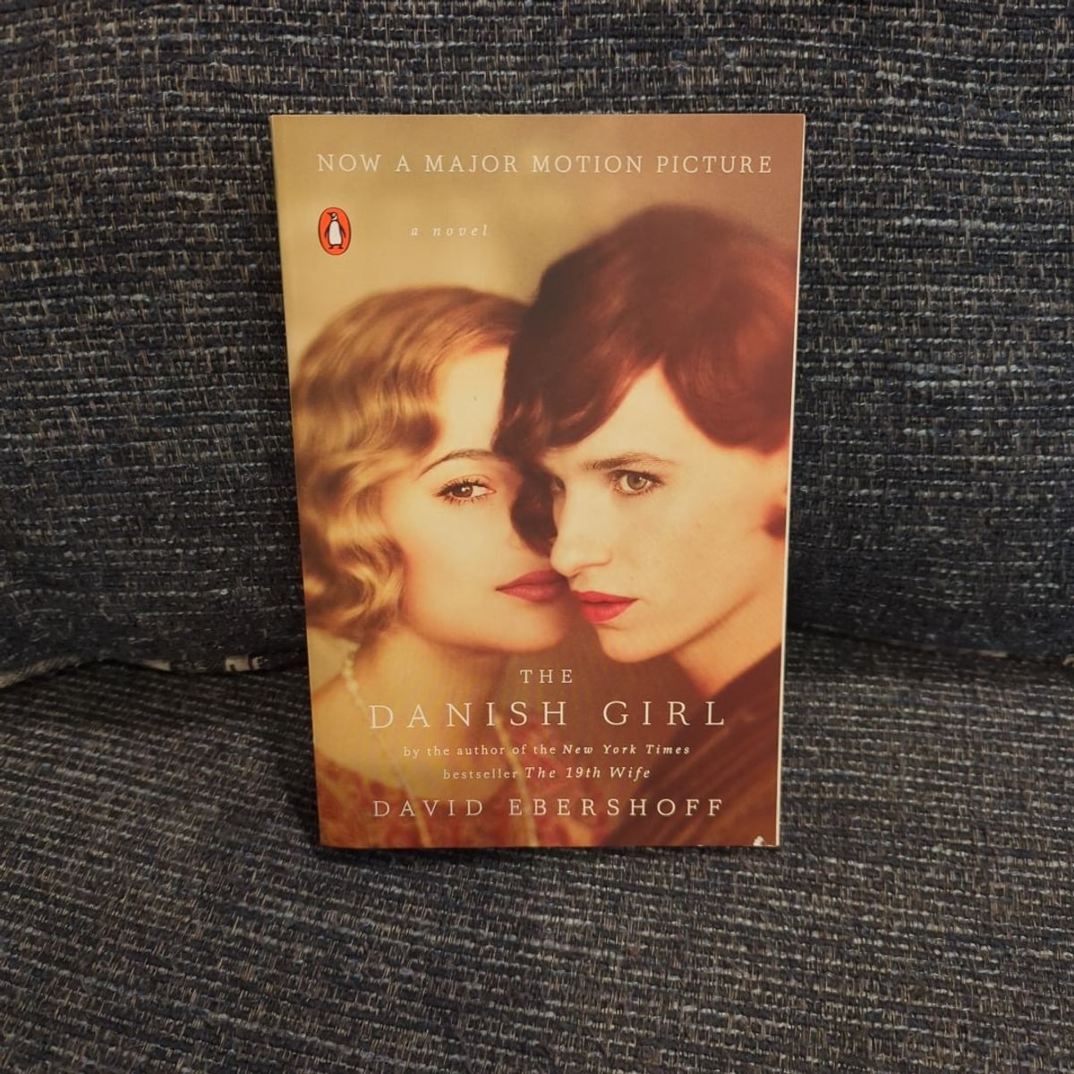 The Danish Girl by David Ebershoff