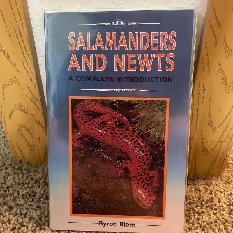 Salamanders and Newts by Byron Bjorn, Paperback | Pangobooks