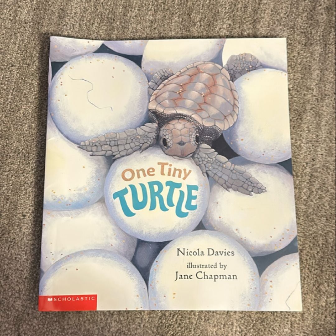 One Tiny Turtle by Nicola Davies, Paperback | Pangobooks