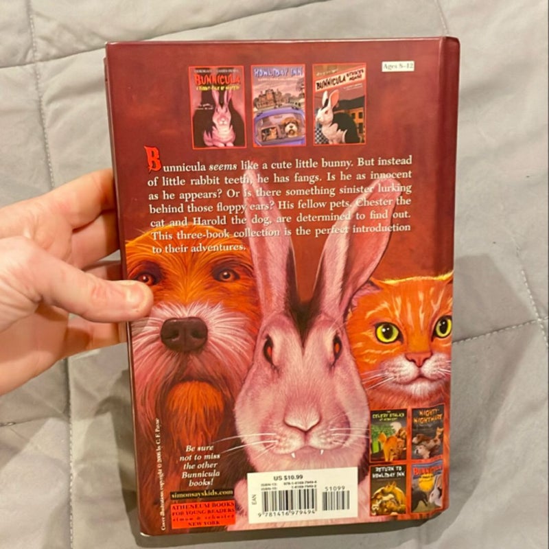 The Bunnicula Collection by James Howe , Hardcover | Pangobooks