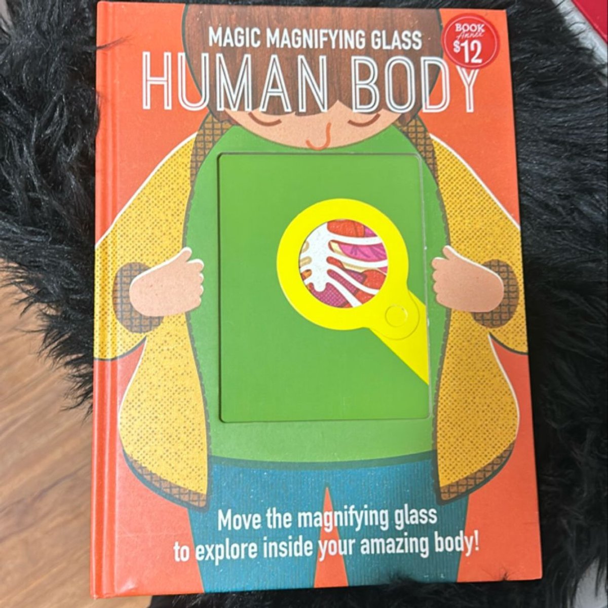 Magic Magnifying Glass: Human Body by Gary Venn