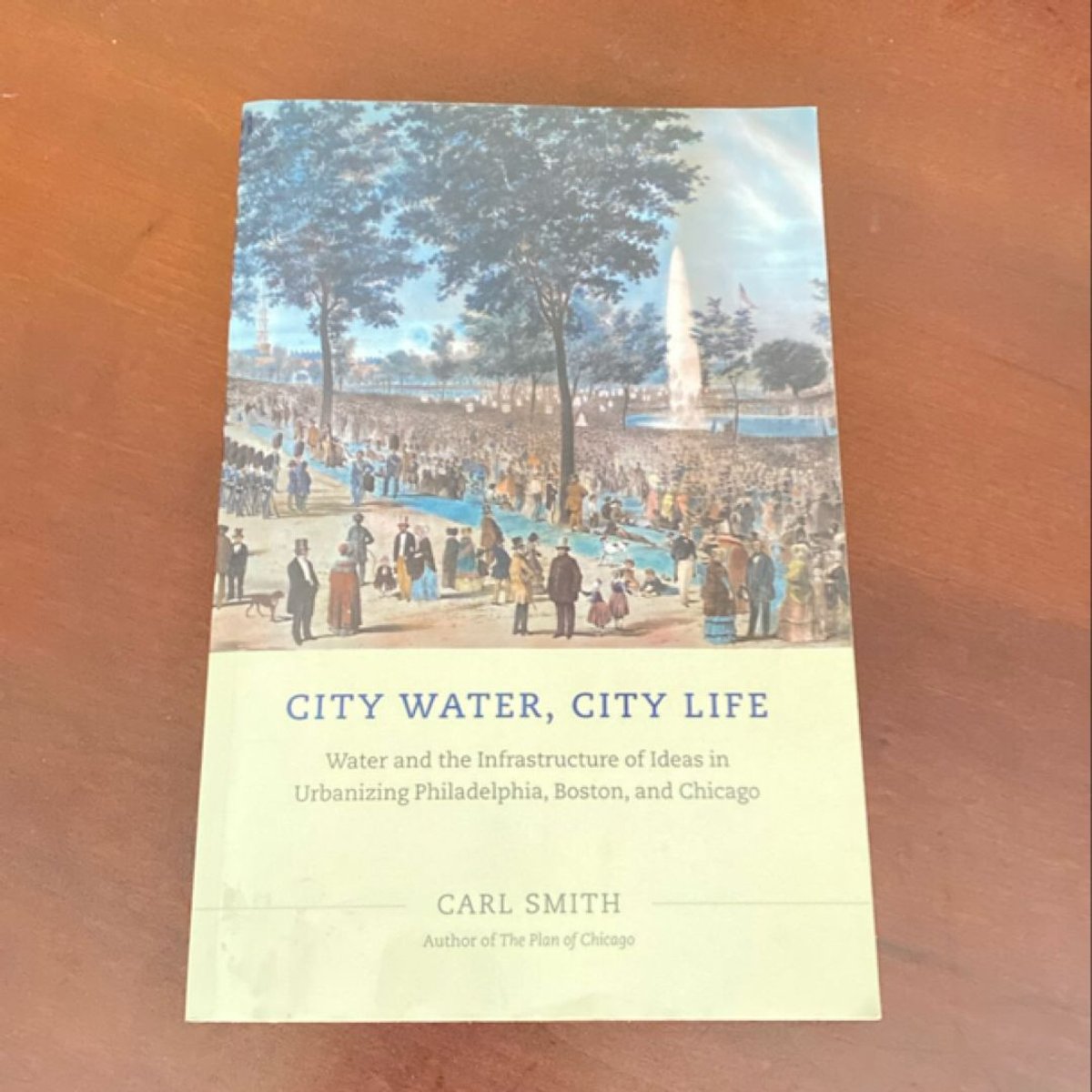 City Water, City Life by Carl Smith