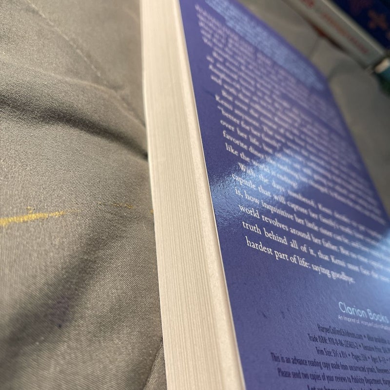 The Probability of Everything ARC by Sarah Everett, Paperback | Pangobooks