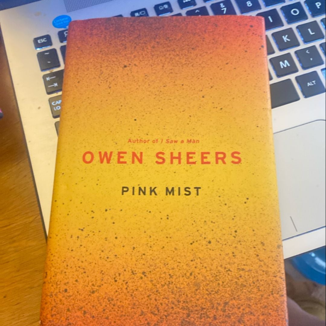 Pink Mist by Owen Sheers