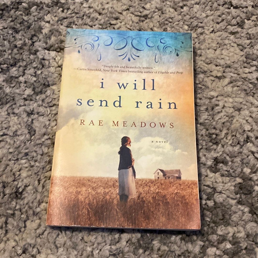 I Will Send Rain by Rae Meadows