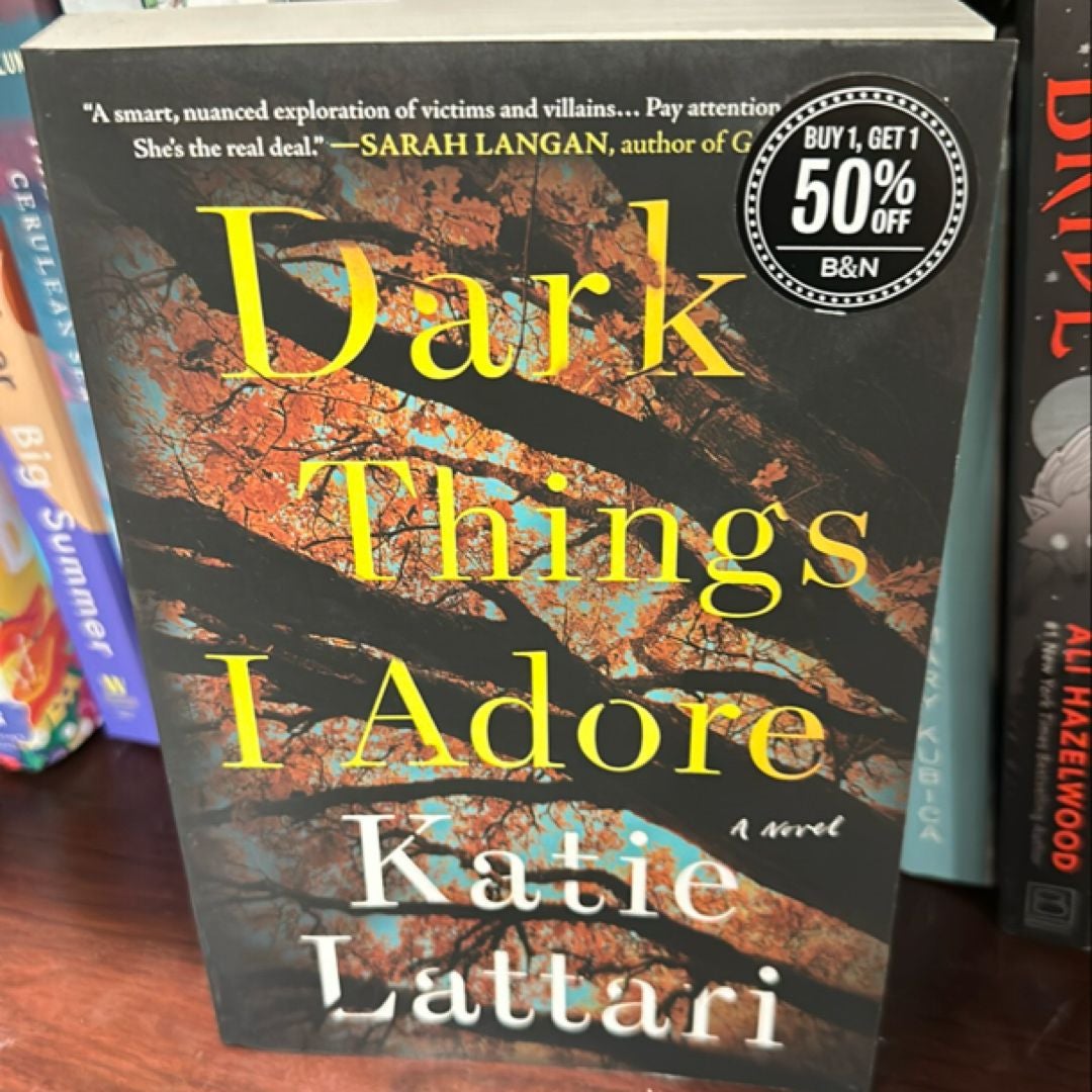 Dark Things I Adore by Katie Lattari