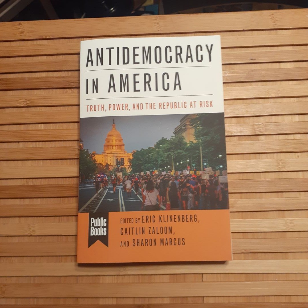 Antidemocracy in America by Michelle Wilde Anderson, Lisa Wade, Thomas ...