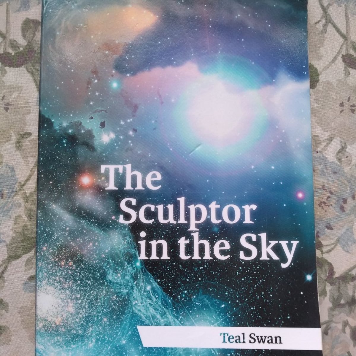 The Sculptor in the Sky by Teal Scott