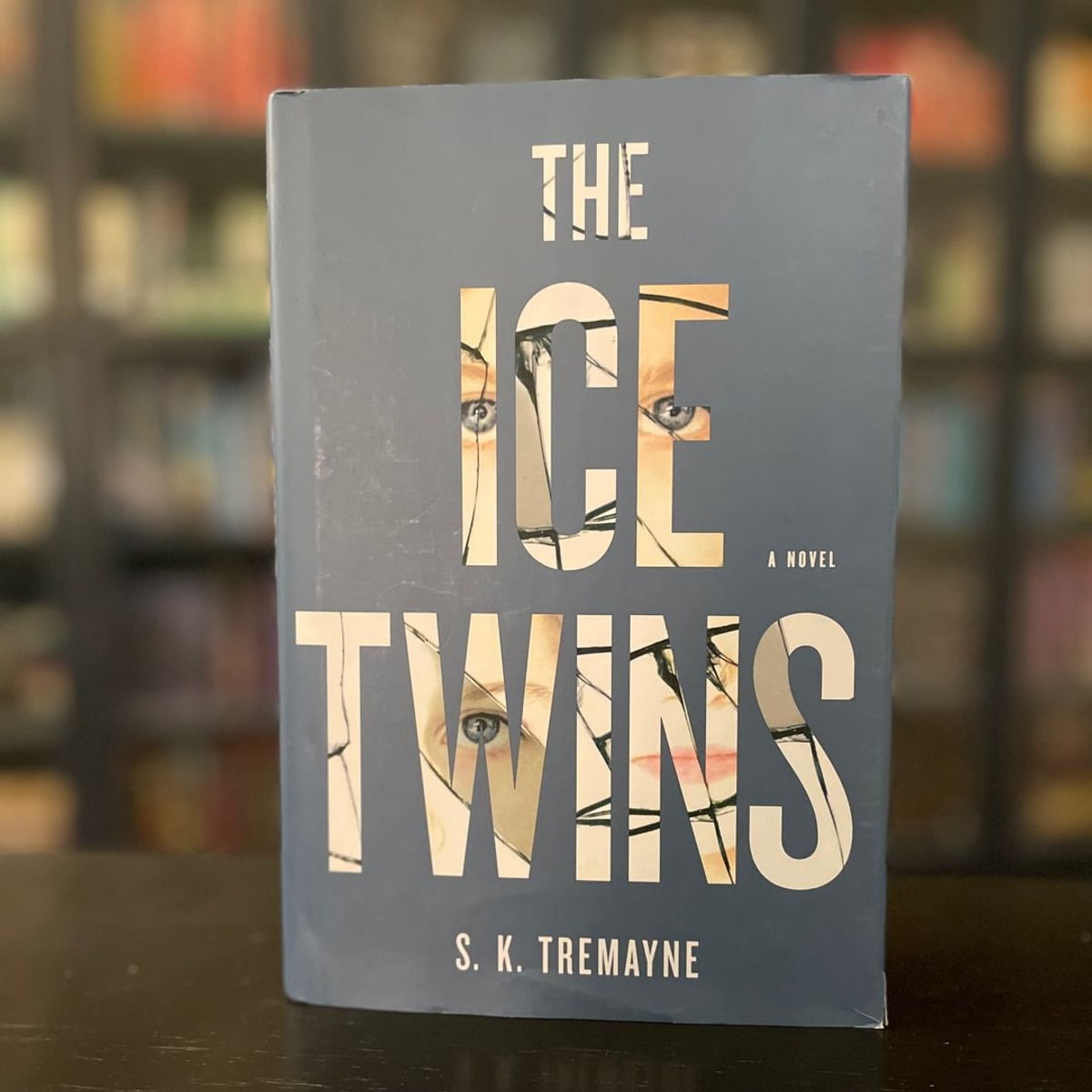 The Ice Twins by S. K. Tremayne, Hardcover | Pangobooks