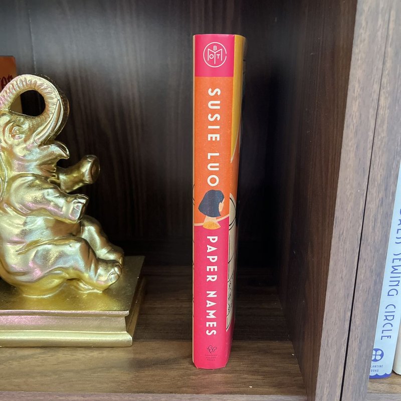 Paper Names by Susie Luo, Hardcover | Pangobooks