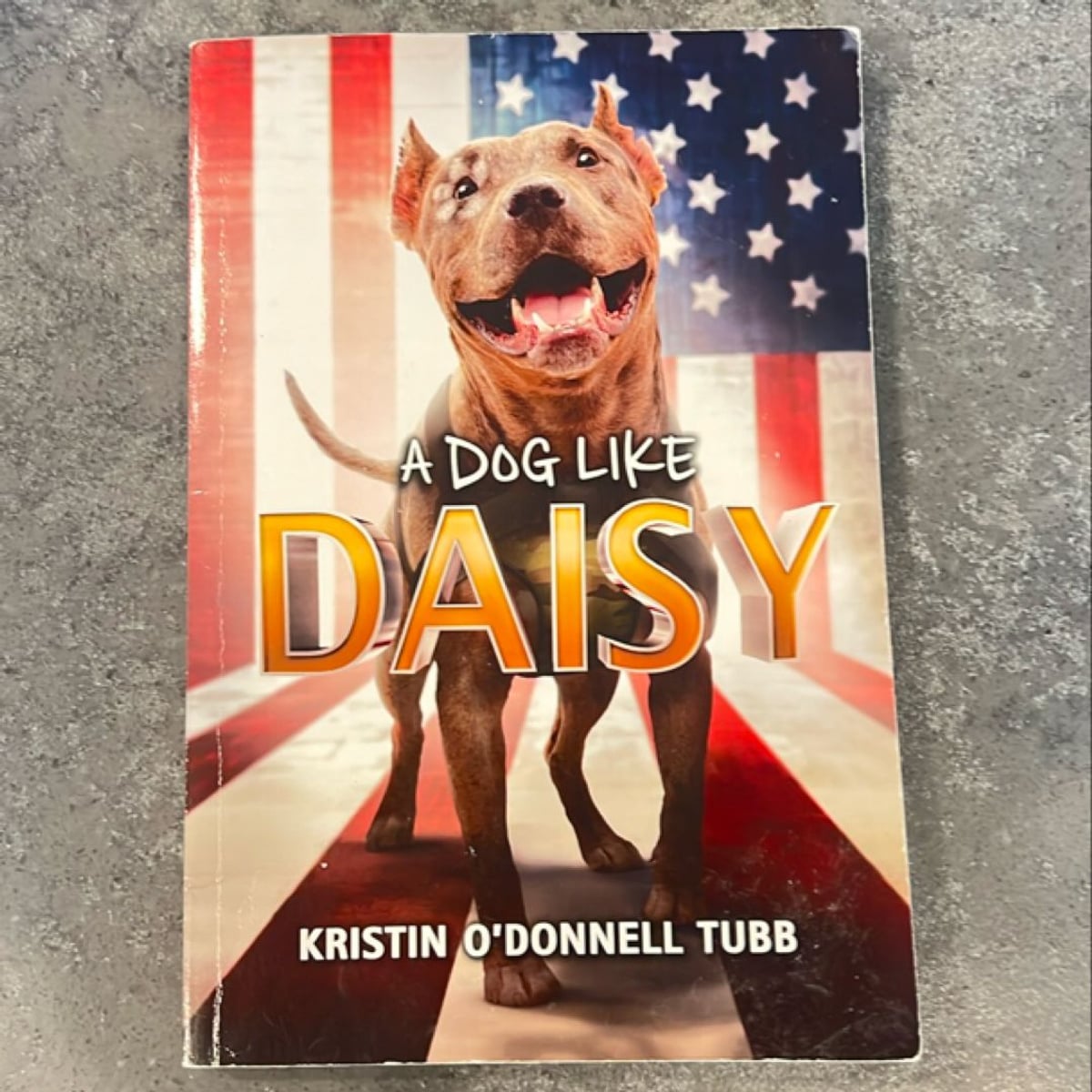 A Dog Like Daisy by Kristin O'Donnell Tubb, Paperback | Pangobooks