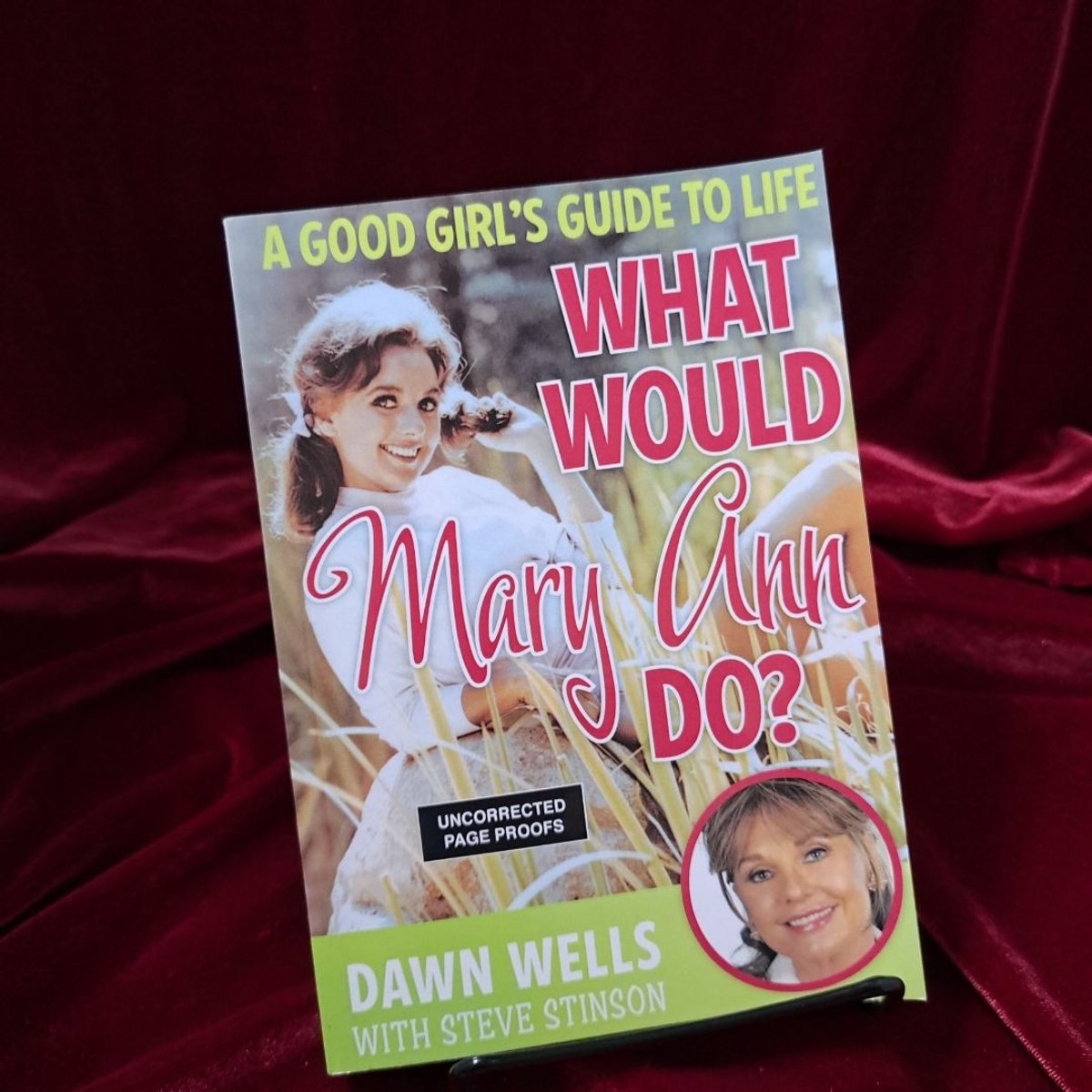 What Would Mary Ann Do? by Dawn Wells, Steve Stinson