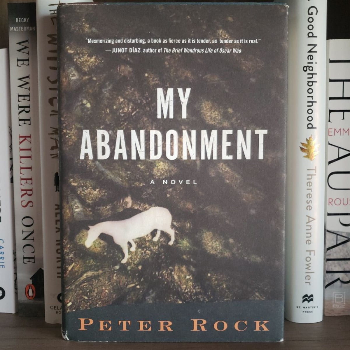 My Abandonment by Peter Rock