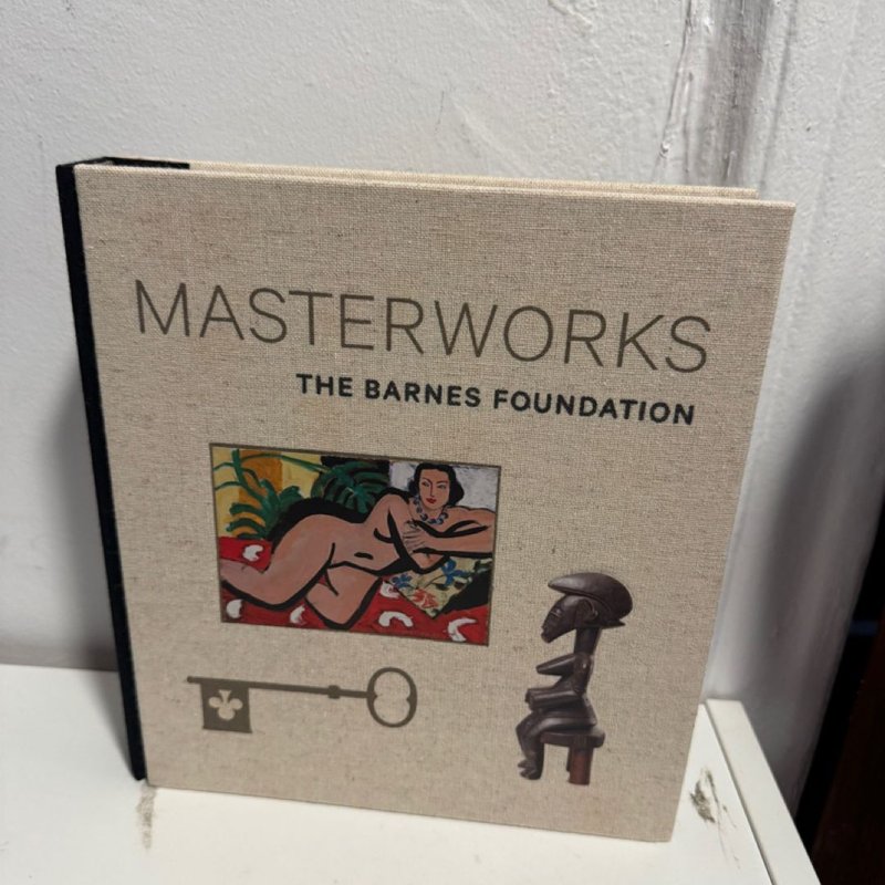 The Barnes Foundation: Masterworks by Judith F. Dolkart, Martha Lucy ...