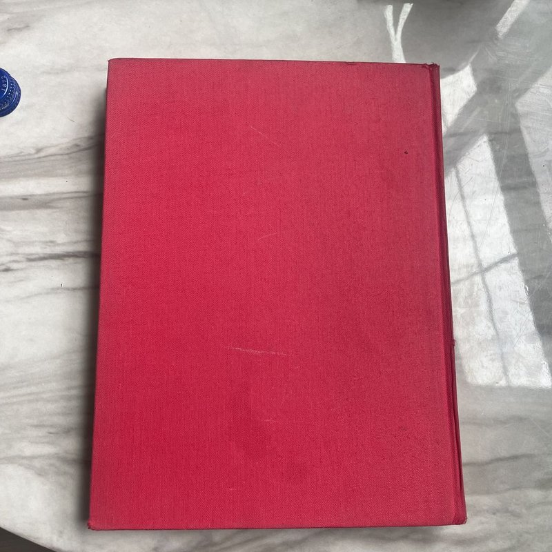 The sun king by Hamish Hamilton , Hardcover | Pangobooks