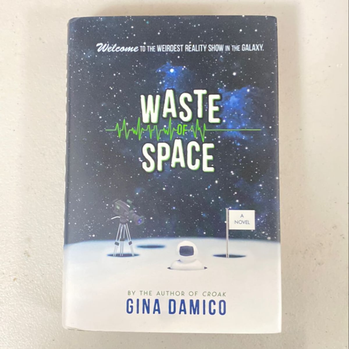 Waste of Space by Gina Damico