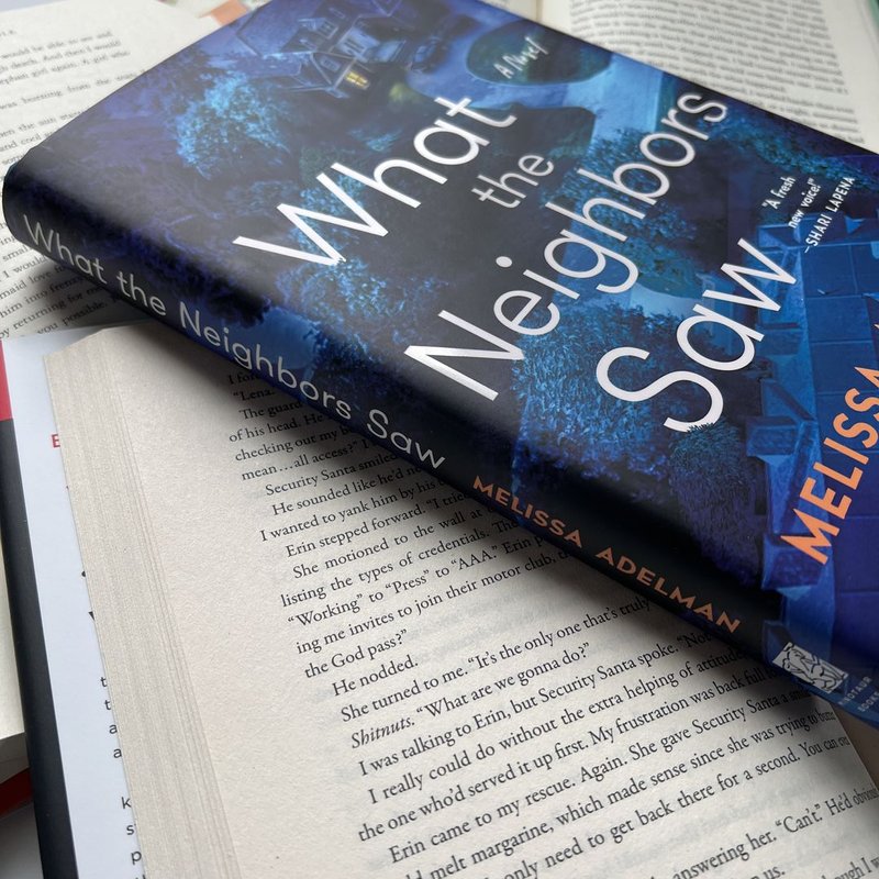 What The Neighbors Saw By Melissa Adelman