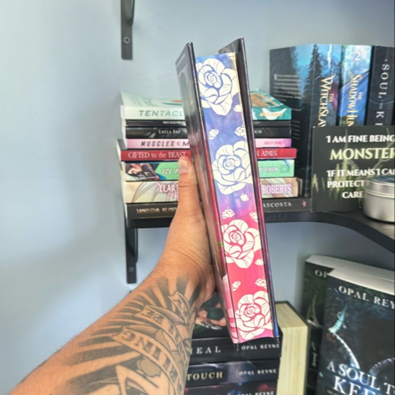 Duskwalker Brides FaeCrate Special Edition 1-4 by Opal Reyne, Hardcover ...