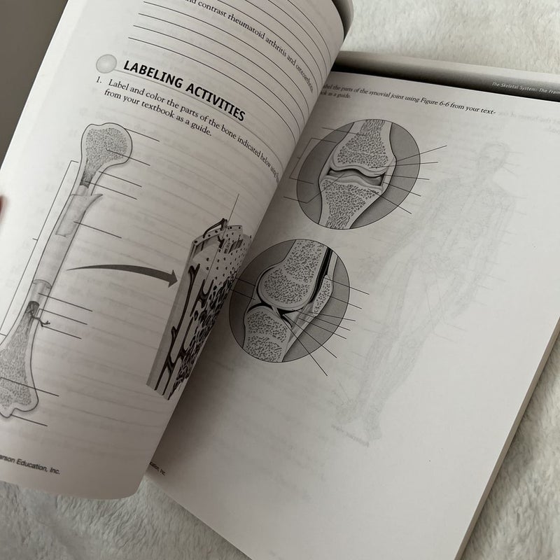 Anatomy, Physiology, and Disease by Bruce Colbert, Jeff Ankney