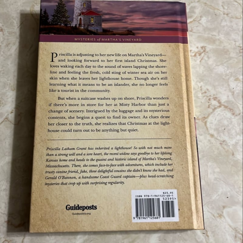 Coast of Christmas Present - MoMV Christmas 2023 by Elizabeth Ludwig ...