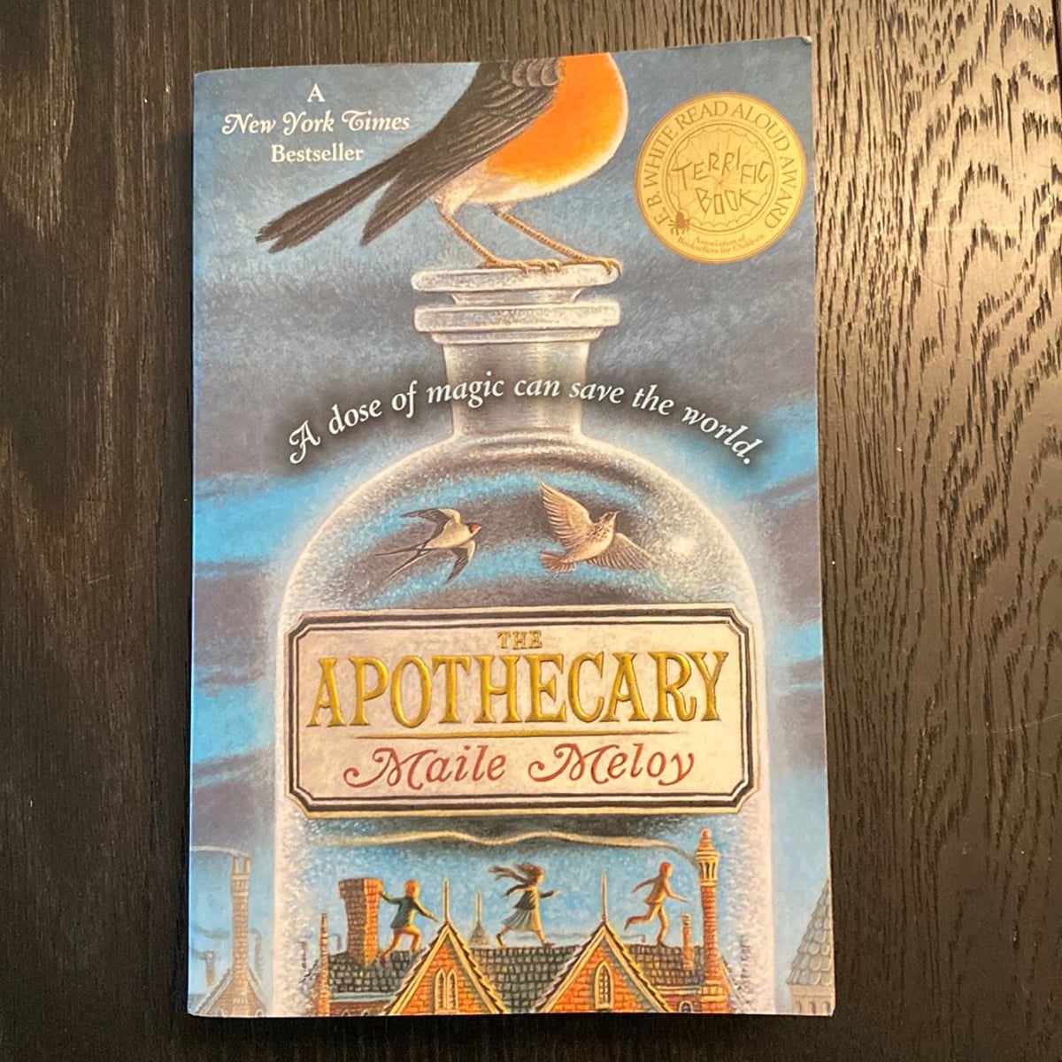 The Apothecary by Maile Meloy