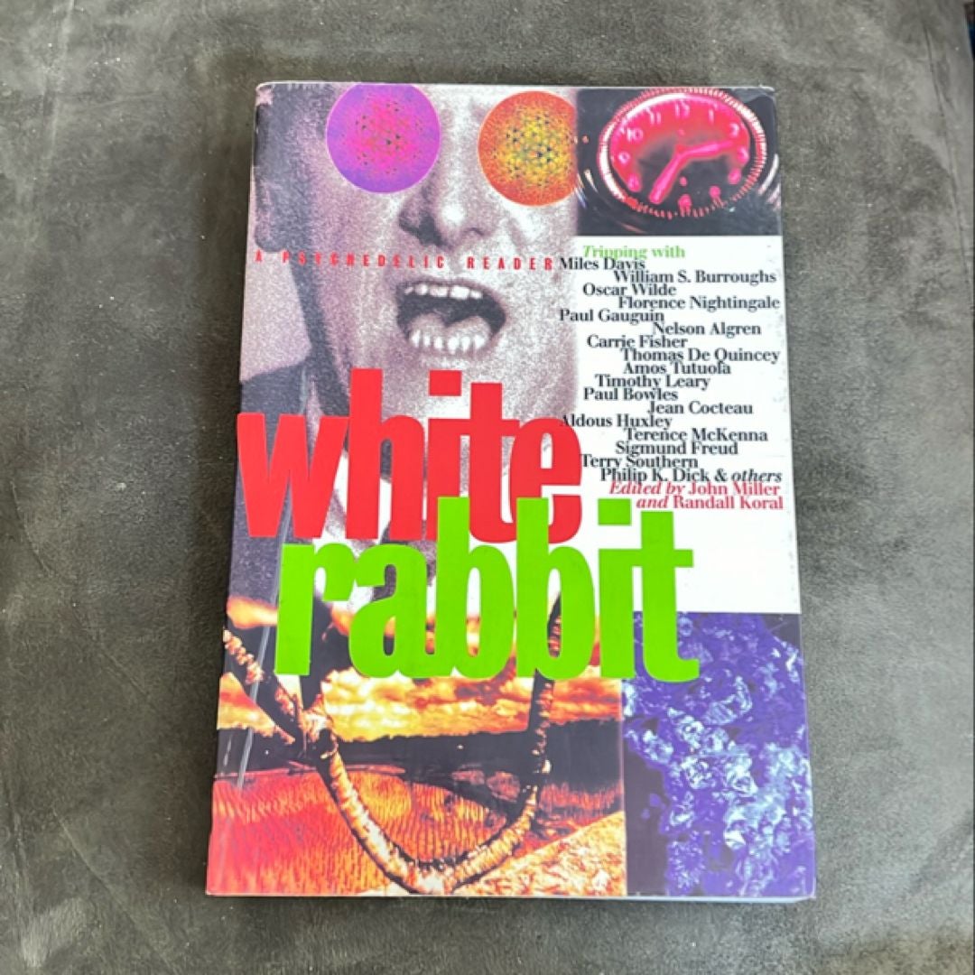 White Rabbit by Randall Koral