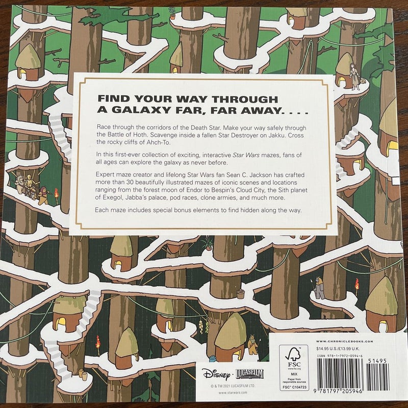 Star Wars Mazes by Sean Jackson