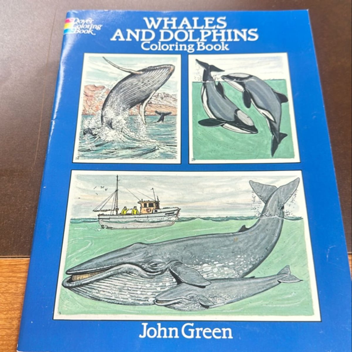 Whales and Dolphins Coloring Book by John Green