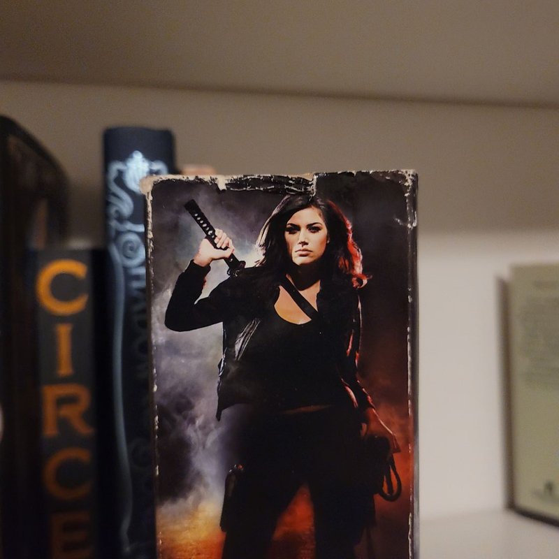Dante Valentine by Lilith Saintcrow, Paperback | Pangobooks
