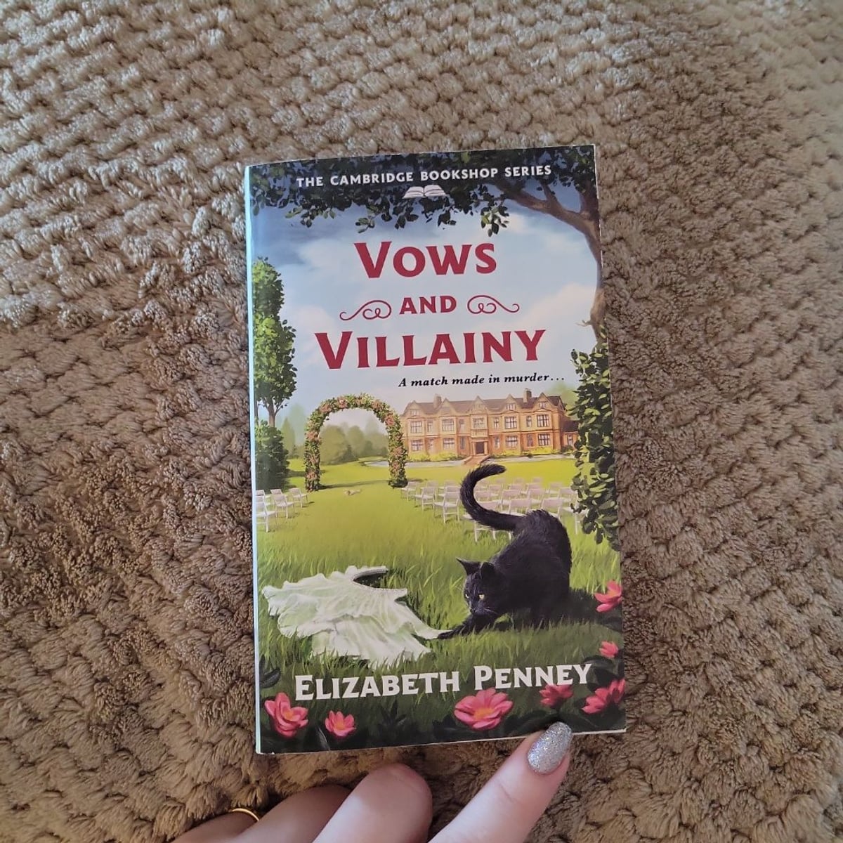 Vows and Villainy by Elizabeth Penney