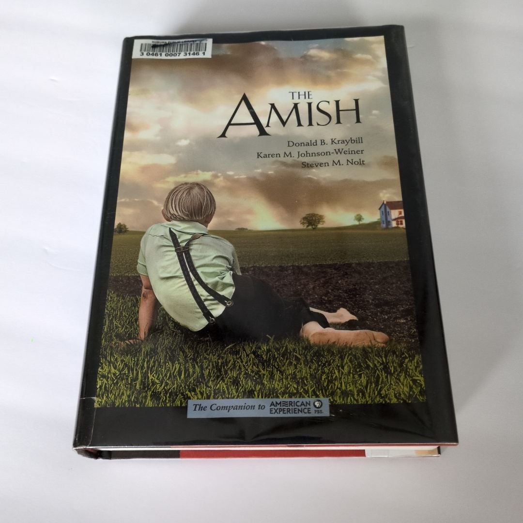The Amish by Donald B. Kraybill, Karen M. Johnson-Weiner, Steven M. Nolt