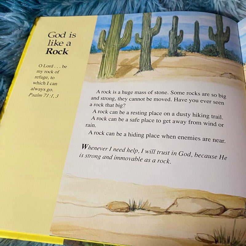 What Is God Like? by Mary Erickson