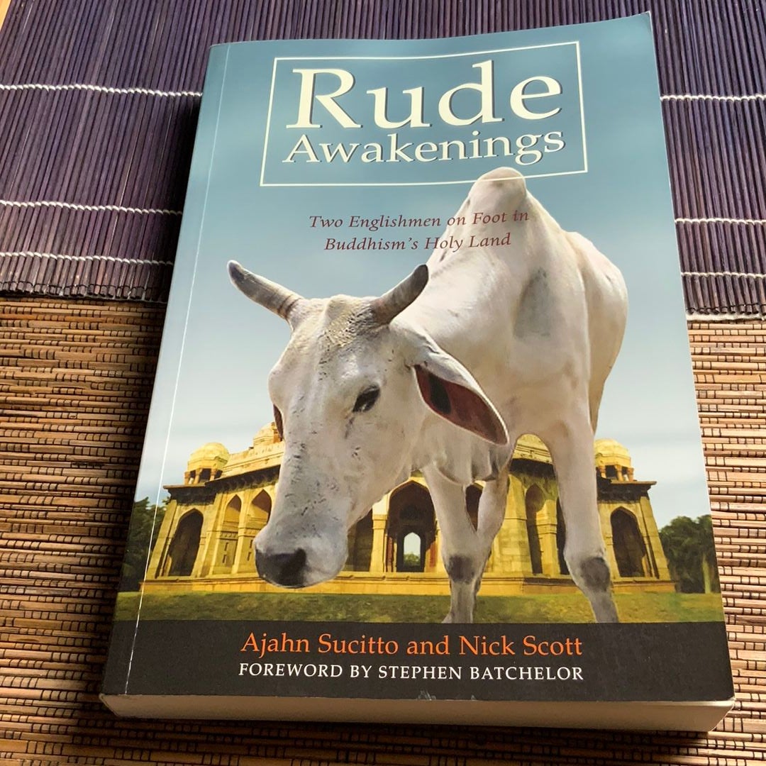 Rude Awakenings by Sucitto, Nick Scott, Stephen Batchelor