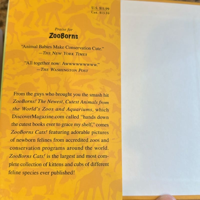 ZooBorns Cats! by Andrew Bleiman, Chris Eastland